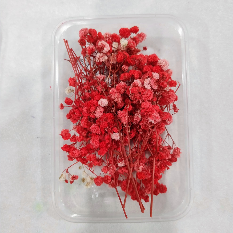 Baby Breath Dry Flower Red – insane craft supplies